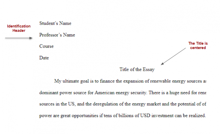 How To Format A College Essay Tips From Ivy League Editors